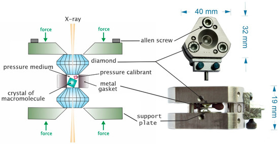 The Promise and Challenge of High Pressure Macromolecular Crystallography