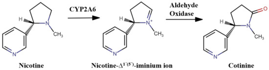 Determination of Nicotine in Human Saliva Using Electrochemical Sensor ...