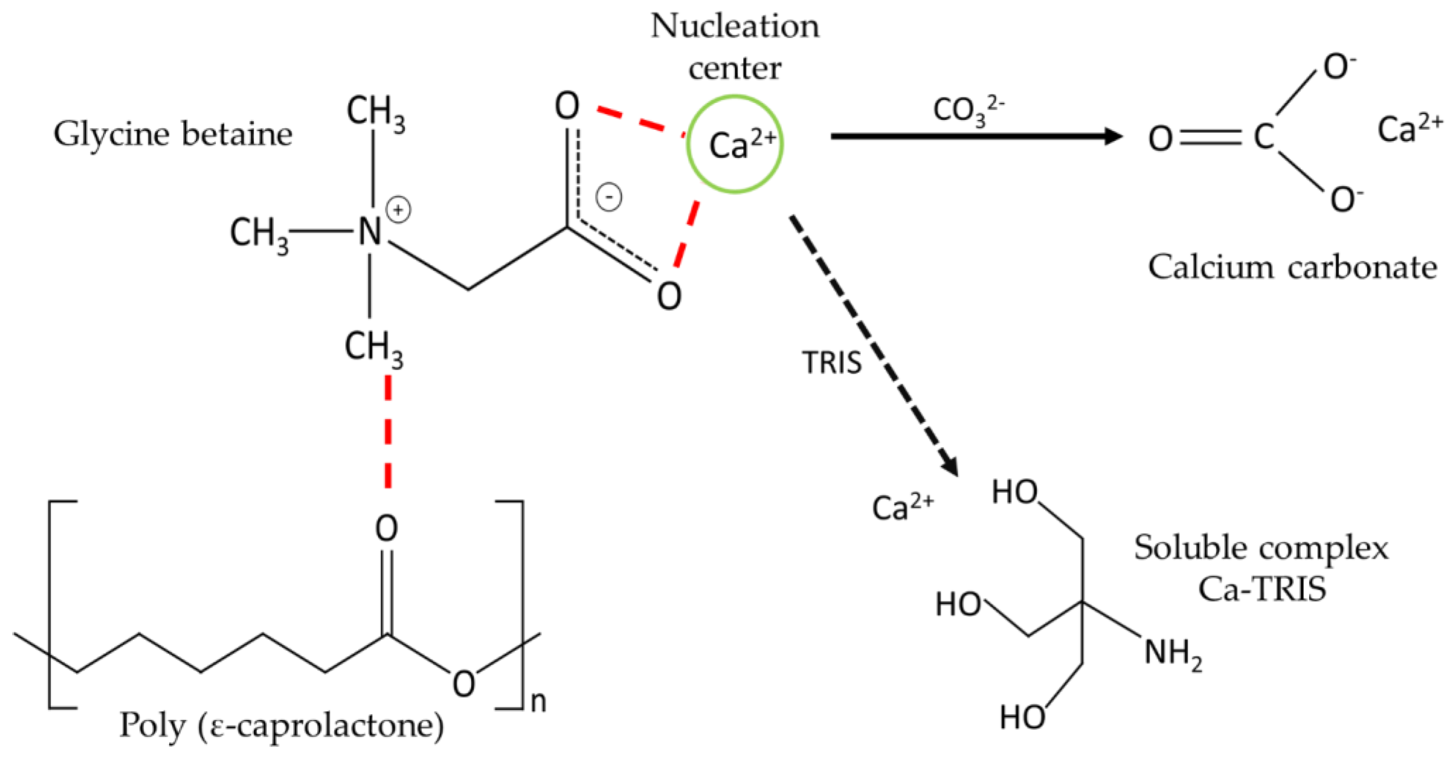 Preparation of Novel Electrospun Organic–Inorganic Hybrid Nanofibers Based on Polycaprolactone ...