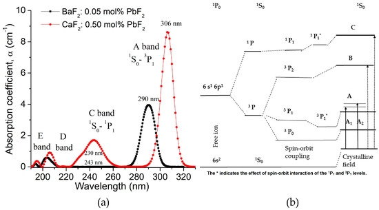 Spectroscopic Properties of Pb2+-Doped BaF2 Crystals