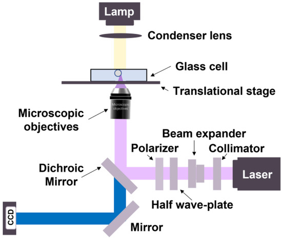 Laser Processing of Liquid Crystal Droplets with Diverse Internal Structures