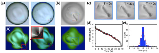 Laser Processing of Liquid Crystal Droplets with Diverse Internal ...