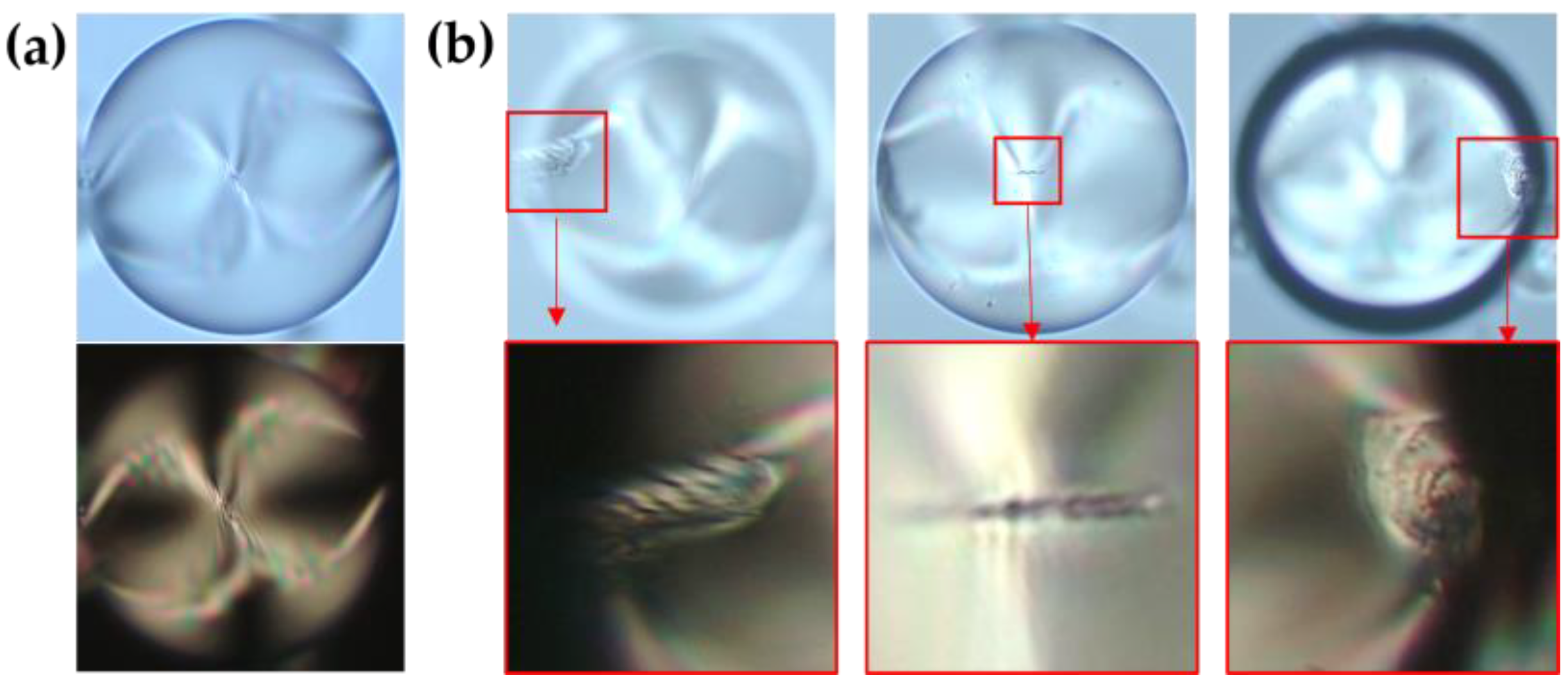 Laser Processing of Liquid Crystal Droplets with Diverse Internal ...