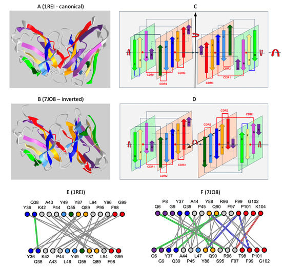 Crystal Structure of a Chimeric Antigen Receptor (CAR) scFv Domain ...