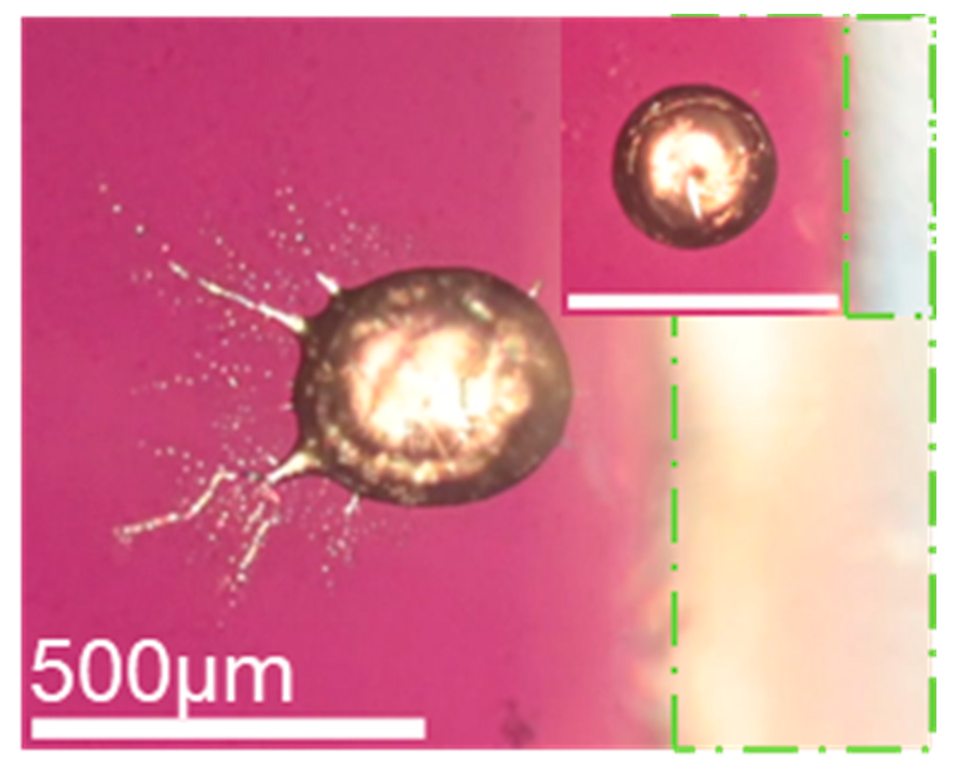 On the Behavior of Ferroelectric Liquid Droplets in the Vicinity of a ...