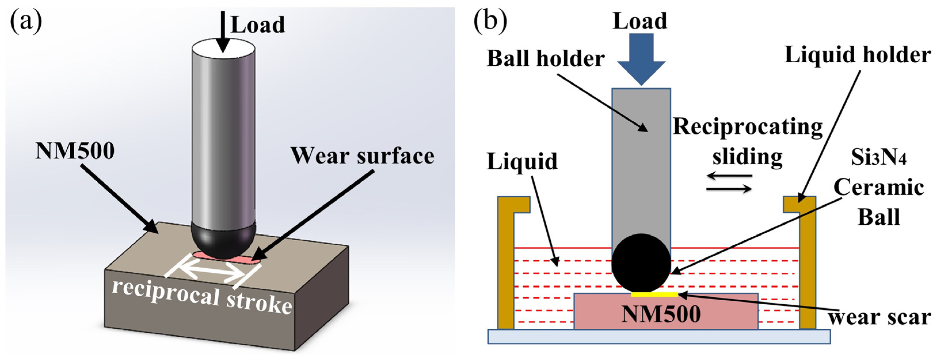 Friction and Wear Behavior of NM500 Wear-Resistant Steel in Different Environmental Media