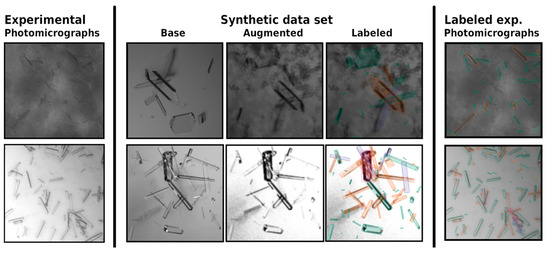 Recent Advances in the Monitoring of Protein Crystallization Processes ...
