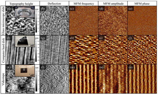 Magnetic Force Microscopy of Multiferroic Bulk Ceramic Oxides