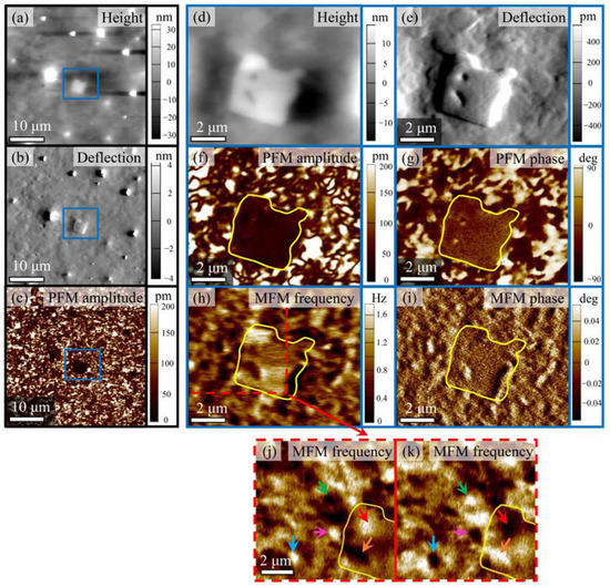 Magnetic Force Microscopy of Multiferroic Bulk Ceramic Oxides