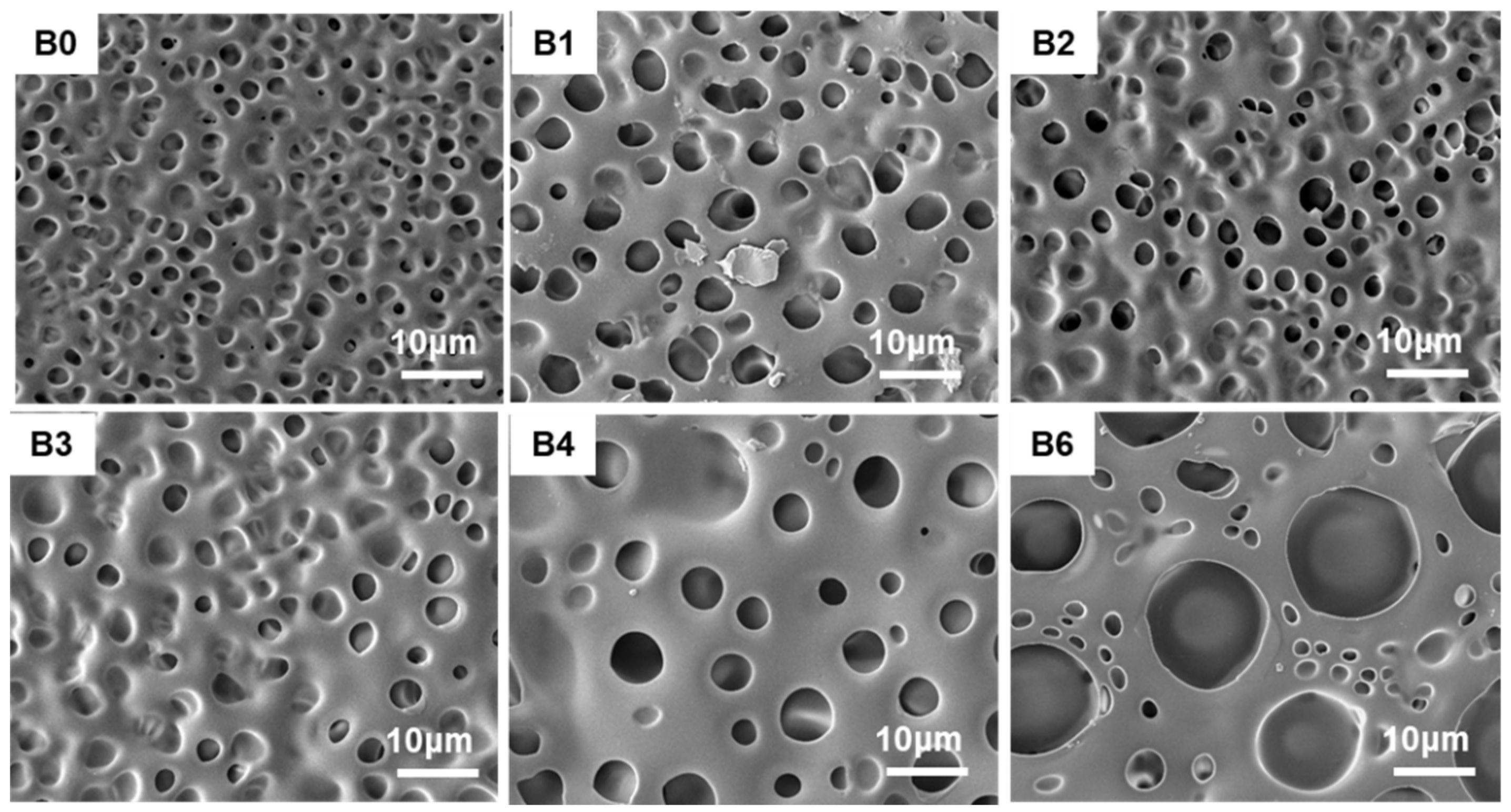 Role of Hydroxy Group in the Electro-Optical Properties of Polymer ...