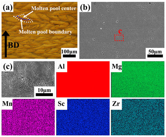 Microstructural Evaluation and Tensile Properties of Al-Mg-Sc-Zr Alloys Prepared by LPBF