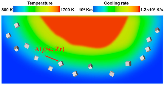 Microstructural Evaluation and Tensile Properties of Al-Mg-Sc-Zr Alloys Prepared by LPBF