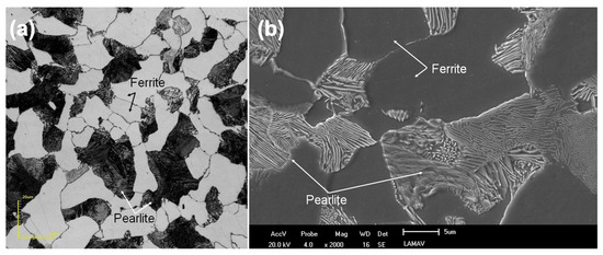 Phase Composition and Temperature Effect on the Dynamic Young’s Modulus ...