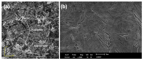 Phase Composition and Temperature Effect on the Dynamic Young’s Modulus ...
