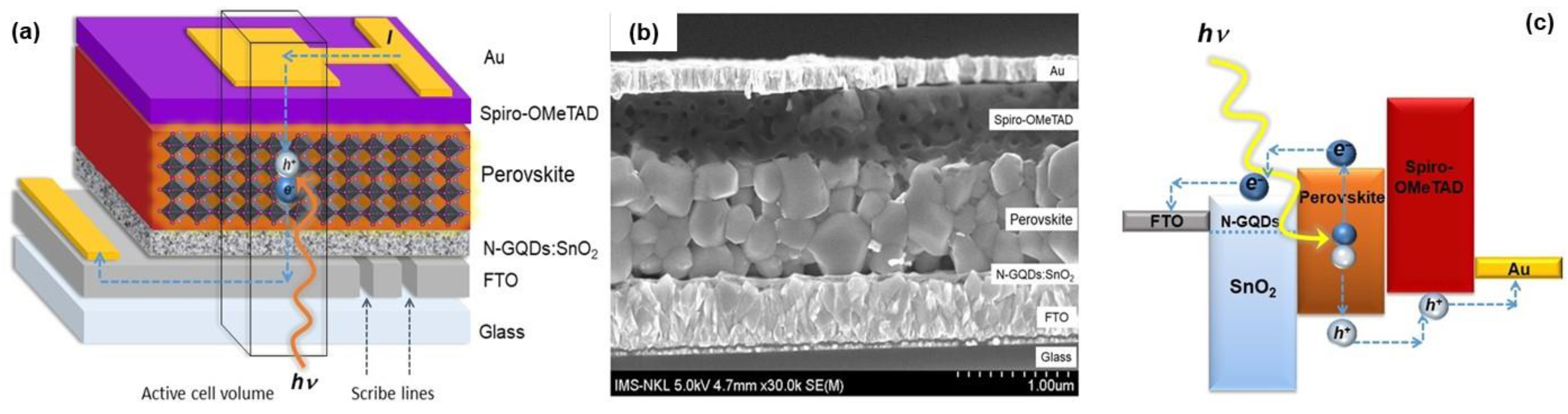 Nitrogen-Doped Graphene Quantum Dot–Tin Dioxide Nanocomposite Ultrathin Films as Efficient ...