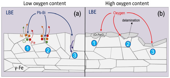 A Review of Corrosion Behavior of Structural Steel in Liquid Lead ...