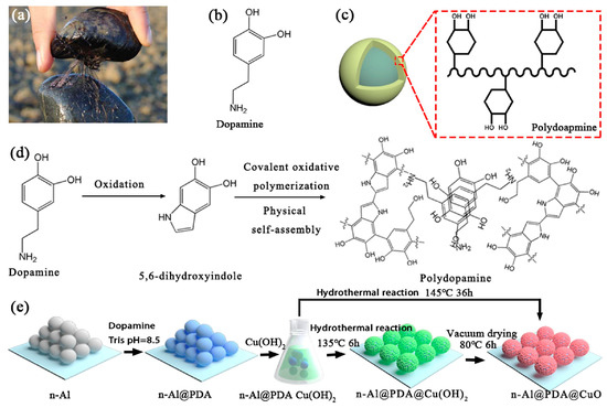 Crystals | Free Full-Text | Recent Advances in Polydopamine for Surface ...