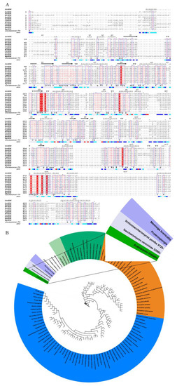 Crystal Structure Analysis and Characterization of NADP-Dependent ...