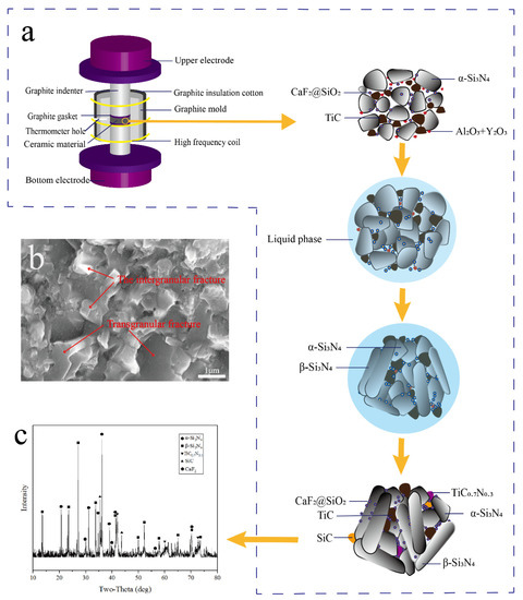 Crystals | Free Full-Text | Effect of CaF2@SiO2 on Si3N4/TiC Composite ...