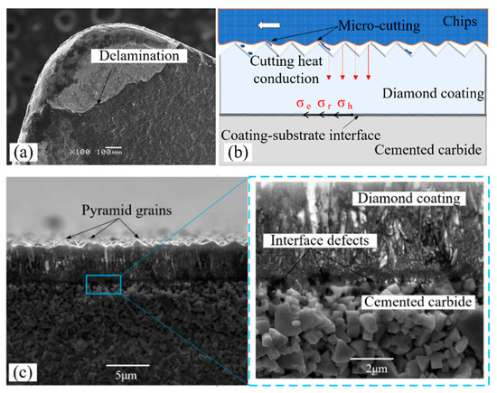 Crystals | Free Full-Text | Synergistic Effect of WS2 and Micro ...