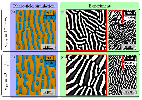 Phase-Field Simulation of the Microstructure Evolution in the Eutectic ...
