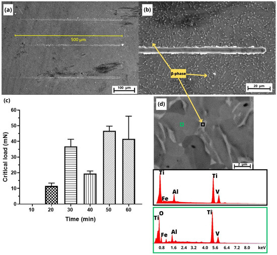 Effect of Anodization Time on the Adhesion Strength of Titanium ...