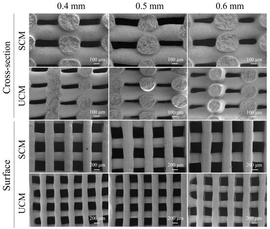 3D-Printed Bioceramic Scaffolds with High Strength and High Precision