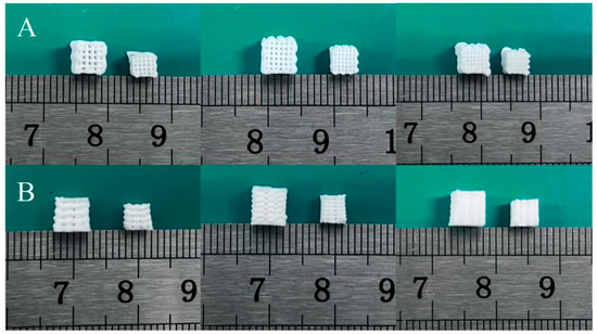 3D-Printed Bioceramic Scaffolds with High Strength and High Precision