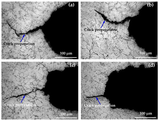 Thermal Fatigue Crack Propagation Process and Mechanism of ...