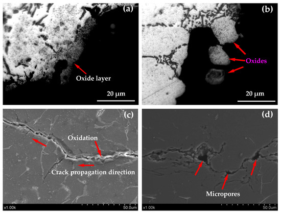 Thermal Fatigue Crack Propagation Process and Mechanism of ...
