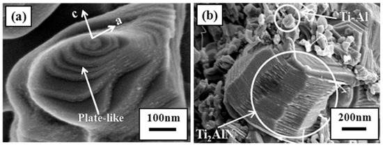Combustion Synthesis of MAX Phases: Microstructure and Properties ...