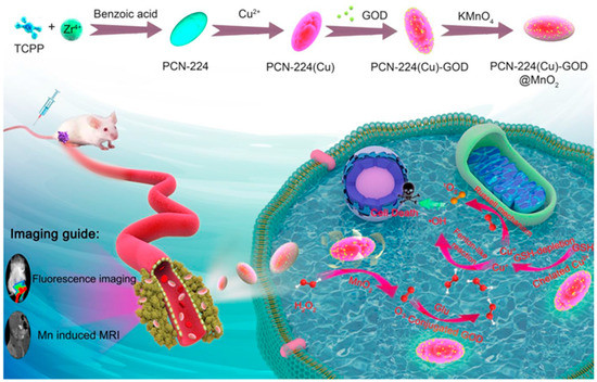 Nanoscale MOF–Protein Composites for Theranostics