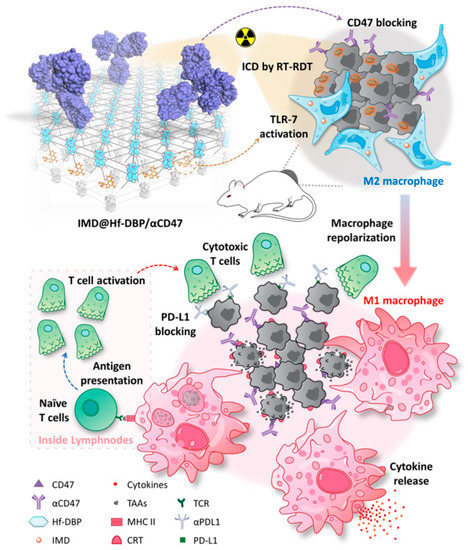 Nanoscale MOF–Protein Composites for Theranostics