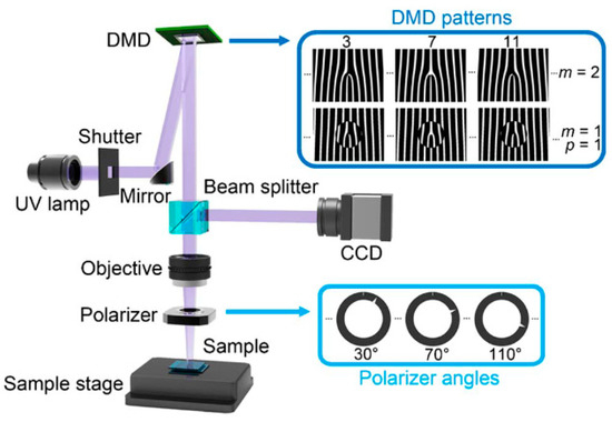 Flexible Optically Rewritable Electronic Paper
