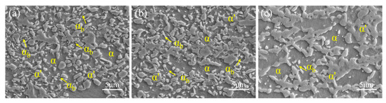 Effect of Chromium on Microstructure and Mechanical Properties of Hot ...