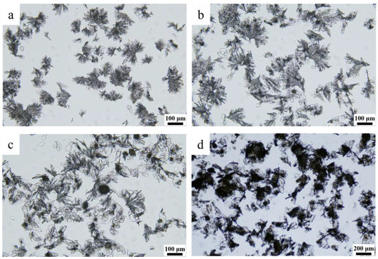 Hierarchical Structure of Glucosamine Hydrochloride Crystals in ...