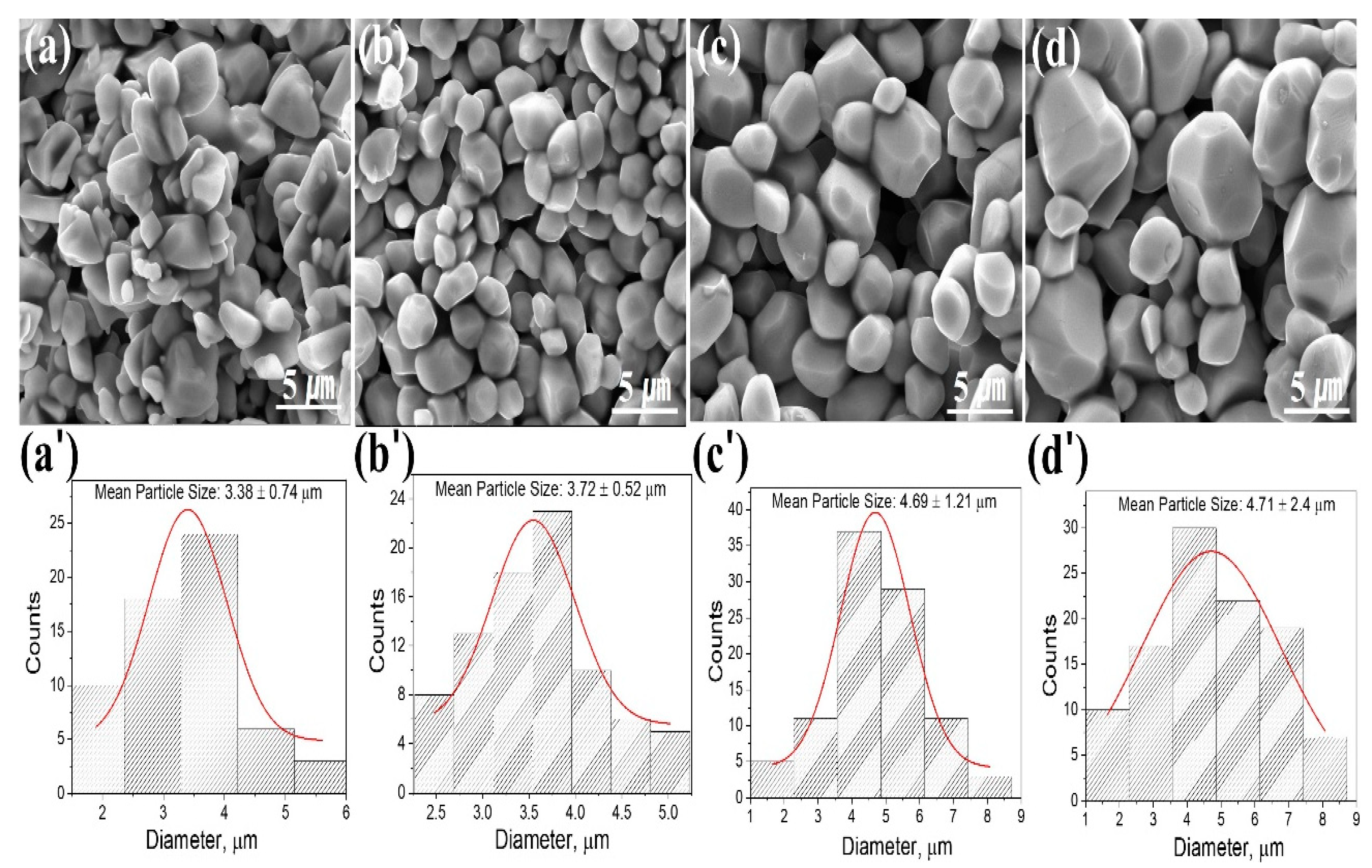 Effects of Sintering Processes on Microstructure Evolution, Crystallite ...