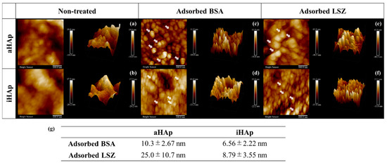 Identification of Proteins Adsorbed on Hydroxyapatite Ceramics with a ...