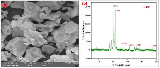 Influence of TiC Particles on Mechanical and Tribological ...
