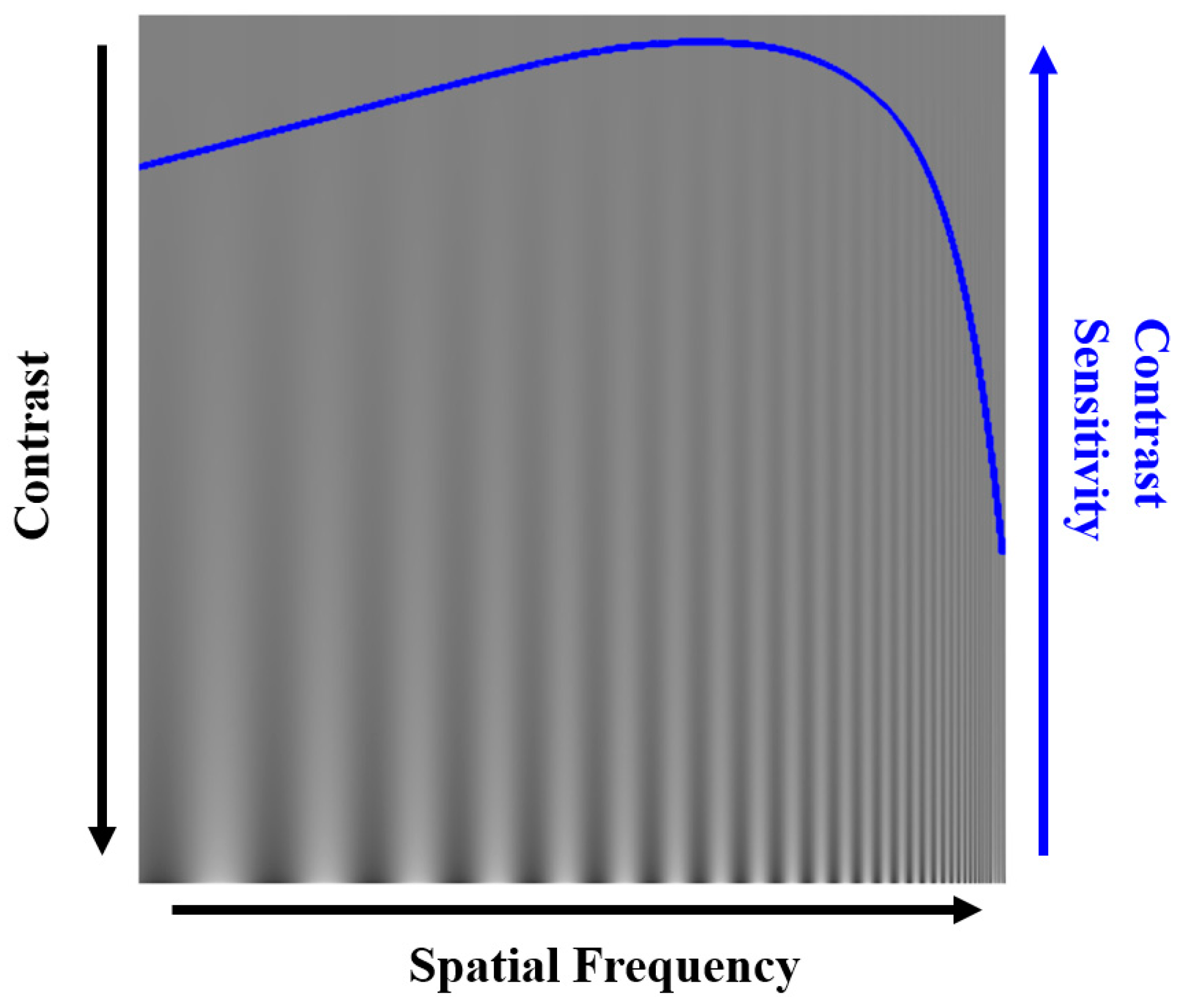 Human Eye Contrast Sensitivity to Vehicle Displays under Strong Ambient Light