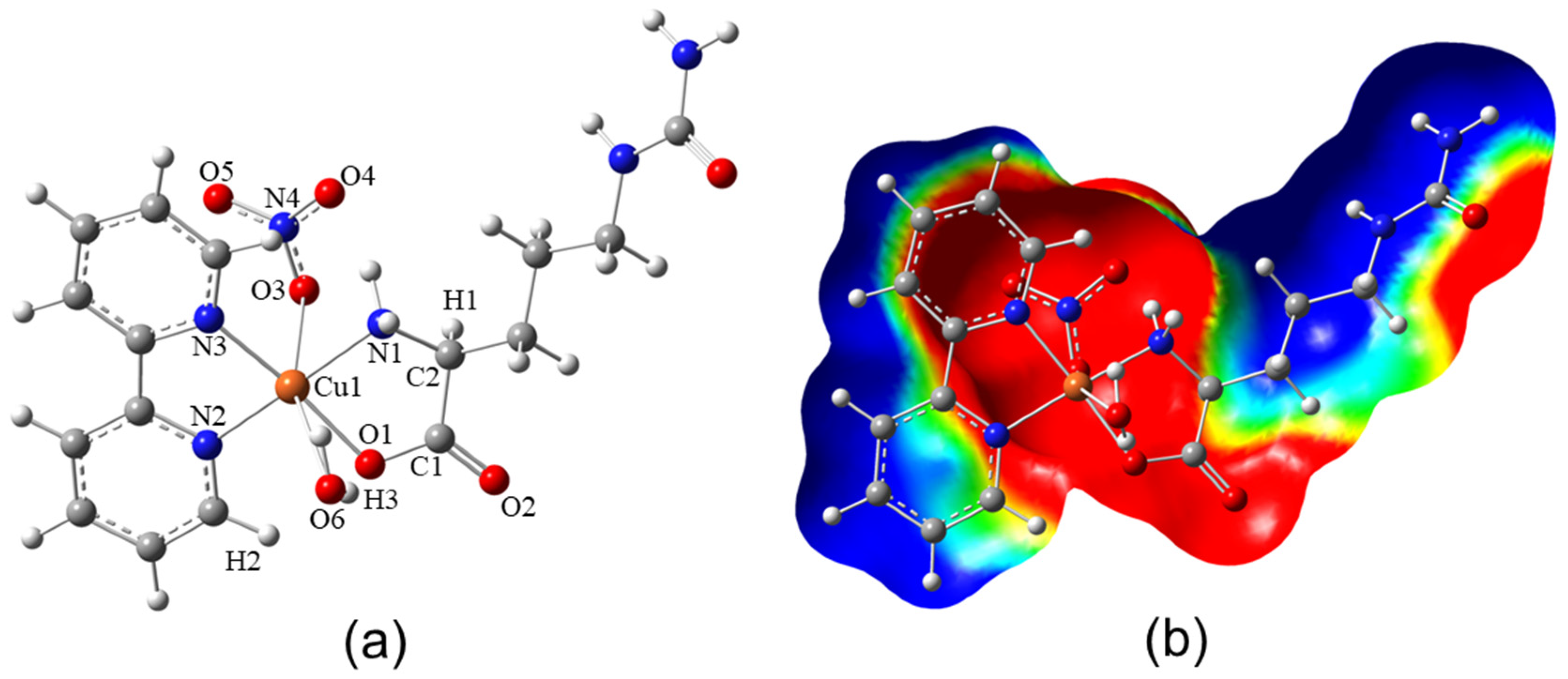 D,L-Citrullinato-bipyridine Copper Complex: Experimental and ...