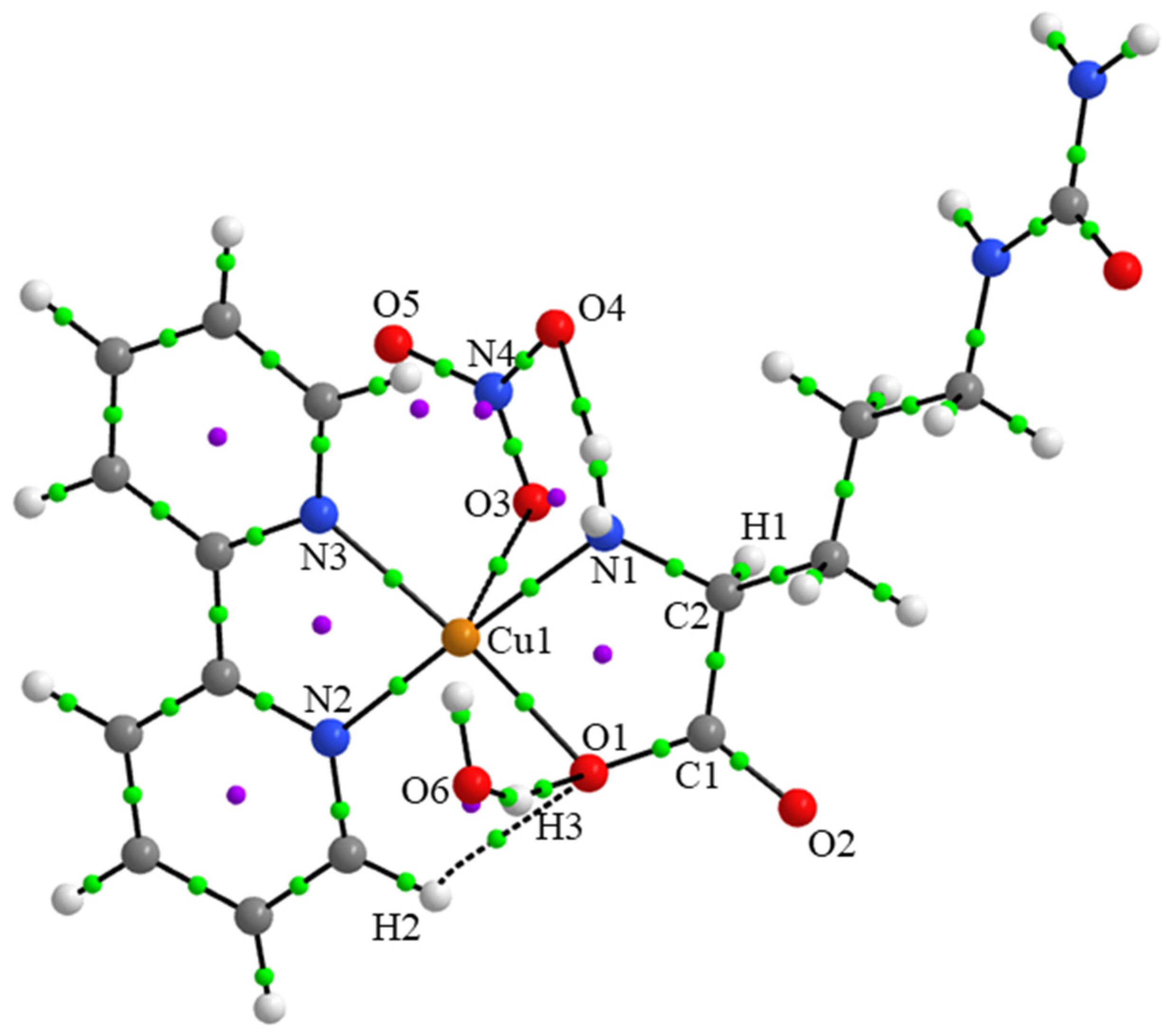 D,L-Citrullinato-bipyridine Copper Complex: Experimental and ...
