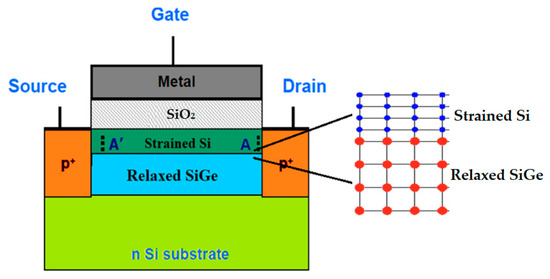 Numerical Simulations of Space Charge Waves Amplification Using ...