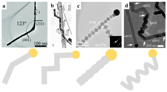 Microscopic Characteristics of Kinking Phenomenon in Vertically Free ...