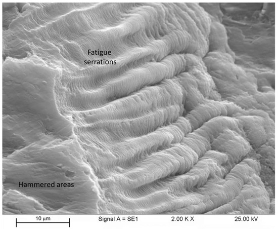 Fatigue and Fracture Behaviors of Short Carbon Fiber Reinforced Squeeze ...