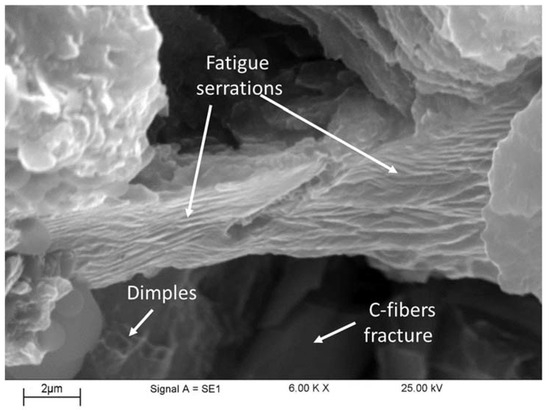 Fatigue and Fracture Behaviors of Short Carbon Fiber Reinforced Squeeze ...