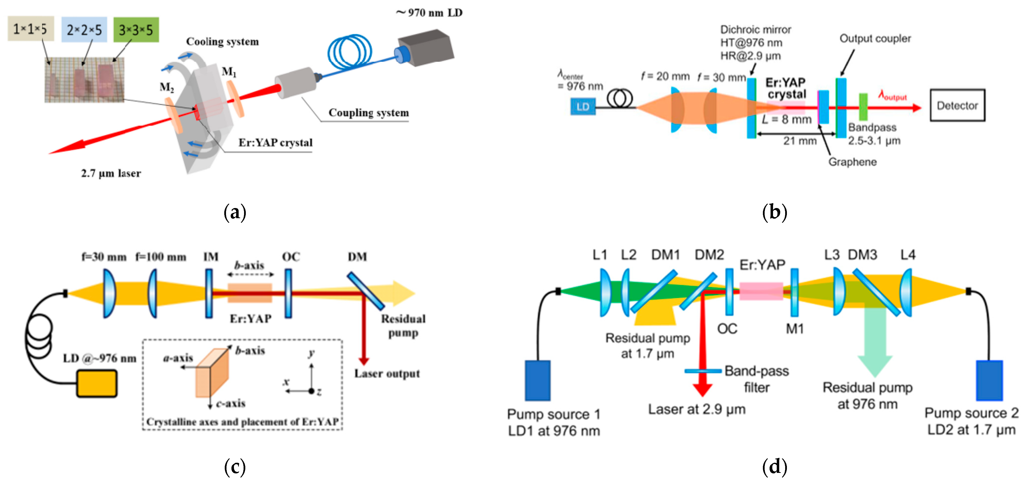 Development of the 2.7 μm to 3 μm Erbium-Doped Laser