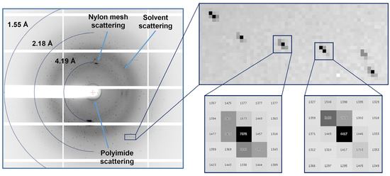 Fixed-Target Pink-Beam Serial Synchrotron Crystallography at Pohang ...