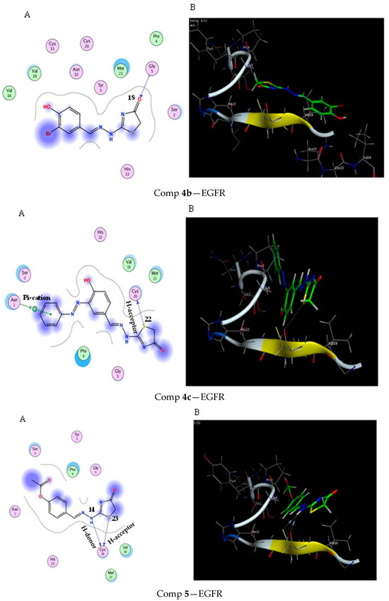 Anticancer Studies of Newly Synthesized Thiazole Derivatives: Synthesis, Characterization ...