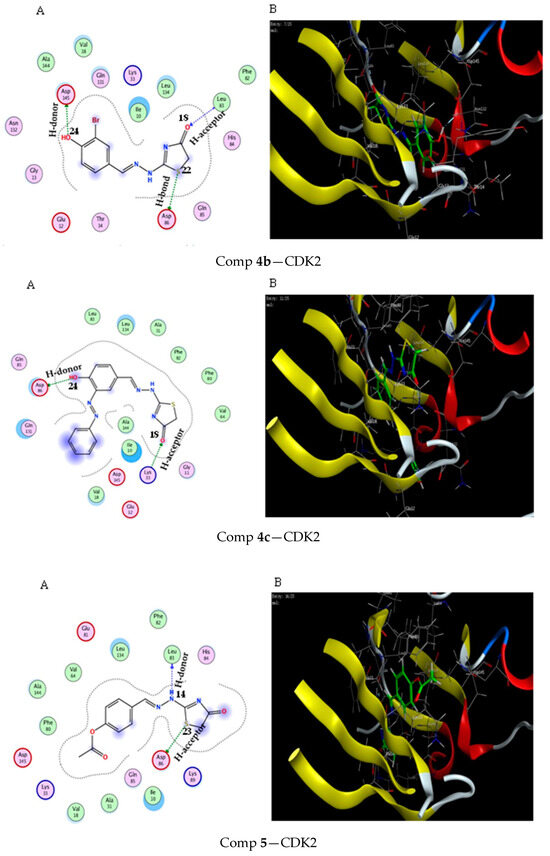 Anticancer Studies of Newly Synthesized Thiazole Derivatives: Synthesis, Characterization ...